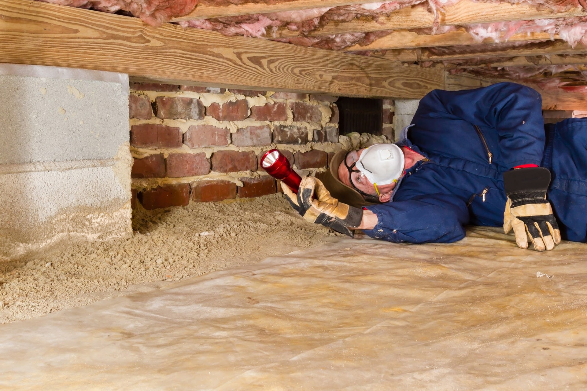 Pest Control Services - Michael's Carpenter Ant | Avon CT
